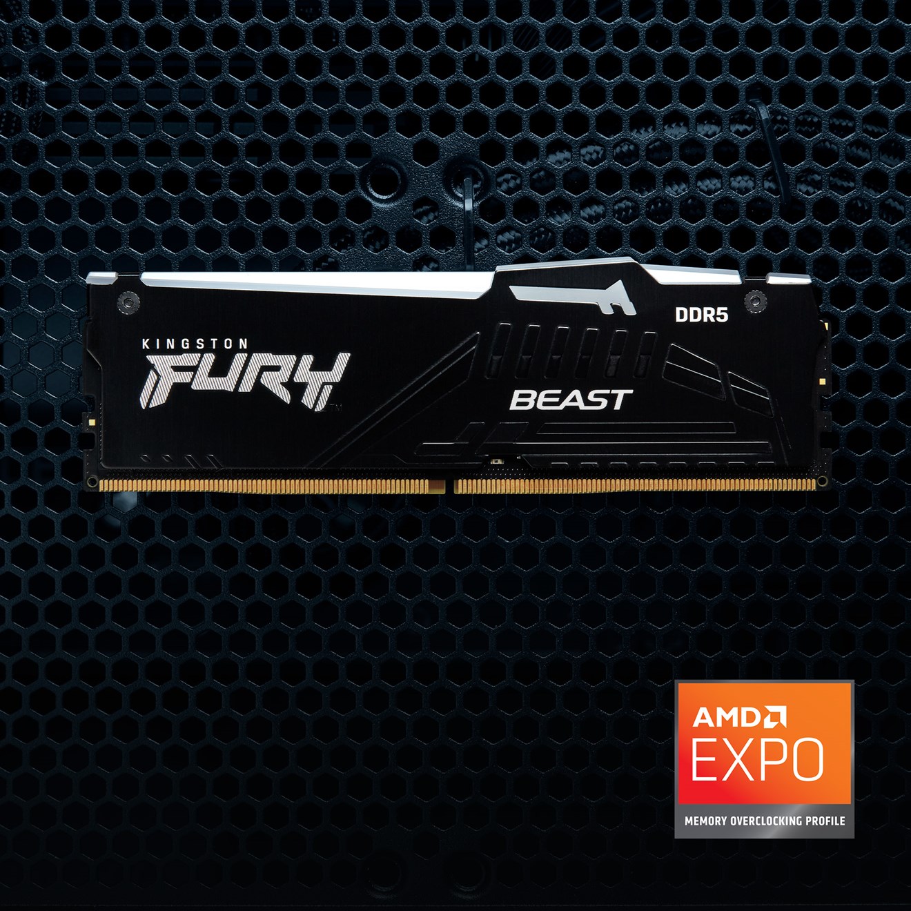 Kingston FURY Beast DDR5 memory with AMD EXPO